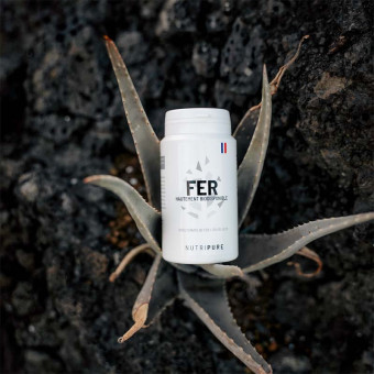 Aliments riches en fer : guide complet et conseils sant