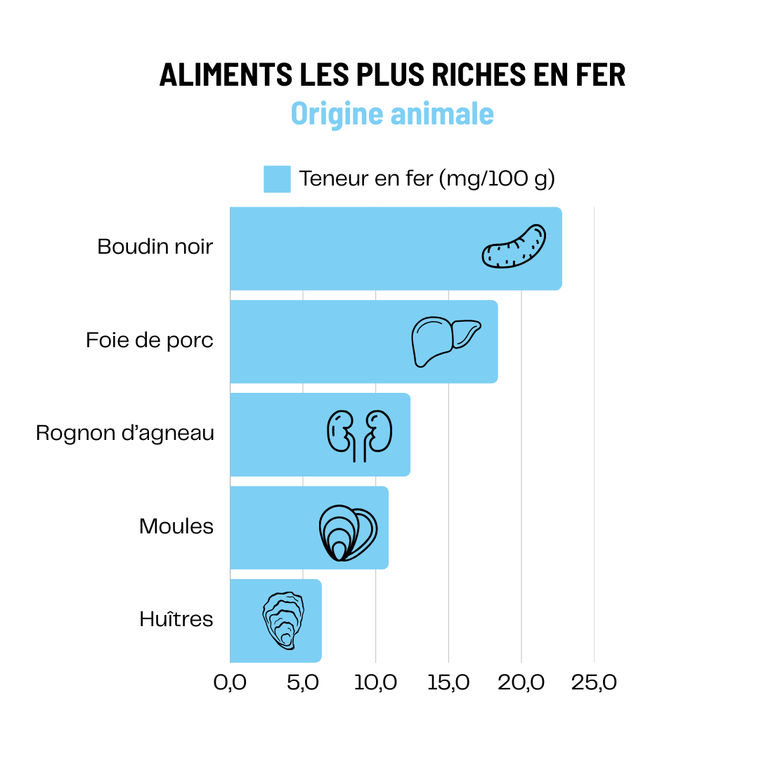 Les aliments riches en fer : Guide complet